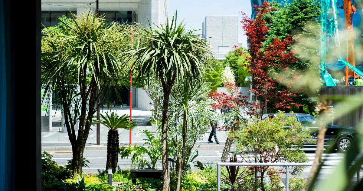 [ COLUMN ] #33 destiny? | Magazine — MIDORI.so